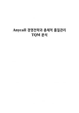Anycall 경영전략과 총체적 품질관리 TQM 분석-1페이지