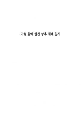 가정 원예 실천 상추 재배 일지-1페이지