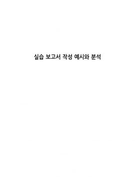 실습 보고서 작성 예시와 분석-1페이지