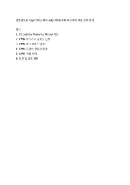 경영정보론 Capability Maturity ModelCMM 이해와 적용 전략 분석-1페이지