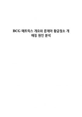 BCG 매트릭스 개요와 문제아 황금젖소 개 애칭 원인 분석-1페이지