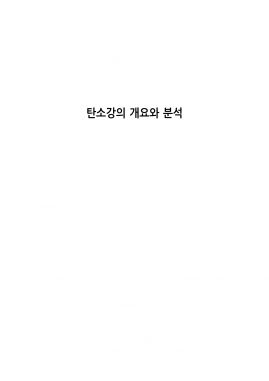 탄소강의 개요와 분석-1페이지