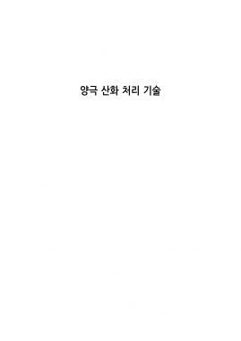 양극 산화 처리 기술-1페이지