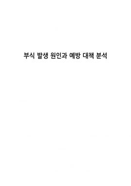 부식 발생 원인과 예방 대책 분석-1페이지