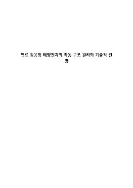 연료 감응형 태양전지의 작동 구조 원리와 기술적 전망-1페이지