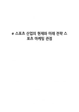 e 스포츠 산업의 현재와 미래 전략 스포츠 마케팅 관점-1페이지