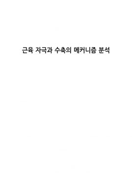 근육 자극과 수축의 메커니즘 분석-1페이지