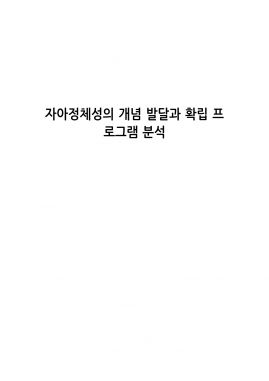 자아정체성의 개념 발달과 확립 프로그램 분석-1페이지