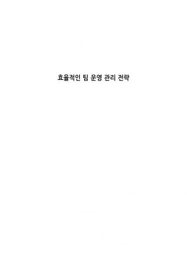 효율적인 팀 운영 관리 전략-1페이지