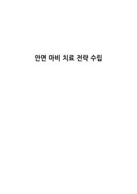 안면 마비 치료 전략 수립-1페이지
