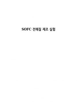 SOFC 전해질 제조 실험-1페이지