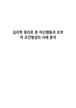 심리학 원리로 본 미신행동과 조작적 조건형성의 사례 분석-1페이지
