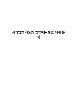 공개입양 제도와 입양아동 보호 체계 분석-1페이지