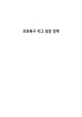 프로축구 리그 성장 전략-1페이지
