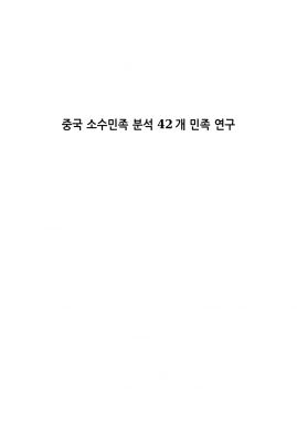 중국 소수민족 분석 42개 민족 연구-1페이지