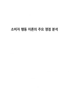 소비자 행동 이론의 주요 쟁점 분석-1페이지