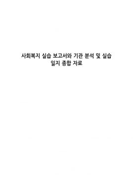 사회복지 실습 보고서와 기관 분석 및 실습 일지 종합 자료-1페이지