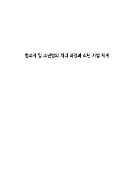 범죄자 및 소년범의 처리 과정과 소년 사법 체계-1페이지
