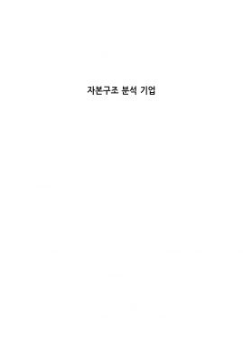 자본구조 분석 기업-1페이지