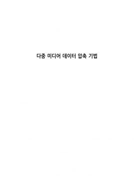 다중 미디어 데이터 압축 기법-1페이지