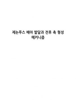제논푸스 배아 발달과 전후 축 형성 메커니즘-1페이지