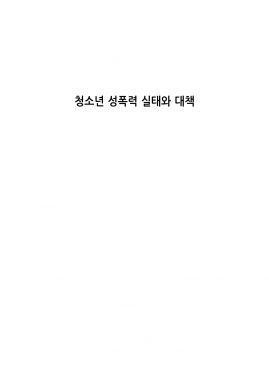 청소년 성폭력 실태와 대책-1페이지