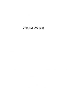 가맹 사업 전략 수립-1페이지