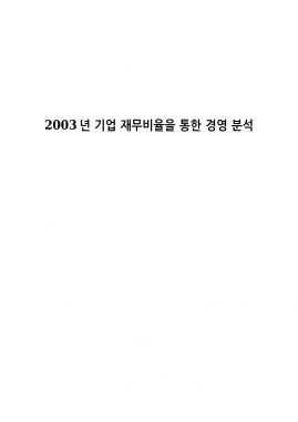 2003년 기업 재무비율을 통한 경영 분석-1페이지