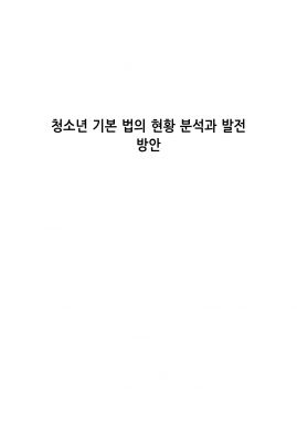청소년 기본 법의 현황 분석과 발전 방안-1페이지
