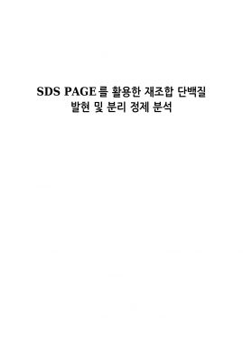SDS PAGE를 활용한 재조합 단백질 발현 및 분리 정제 분석-1페이지