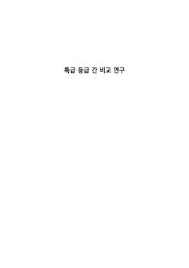 특급 등급 간 비교 연구-1페이지