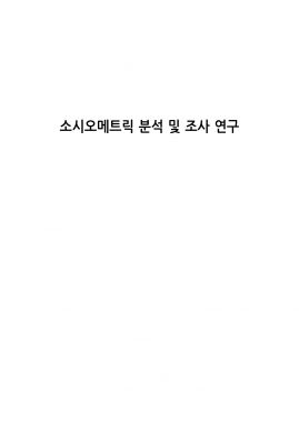소시오메트릭 분석 및 조사 연구-1페이지