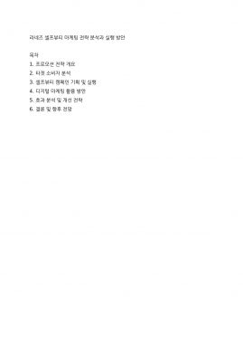 라네즈 셀프뷰티 마케팅 전략 분석과 실행 방안-1페이지