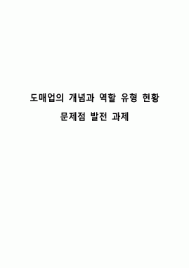 도매업의 개념과 역할 유형 현황 문제점 발전 과제-1페이지