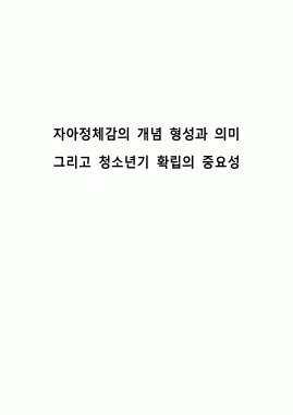 자아정체감의 개념 형성과 의미 그리고 청소년기 확립의 중요성-1페이지