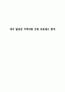 대구 달성군 지역사회 간호 프로세스 분석-1페이지