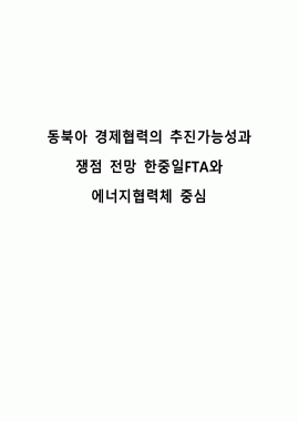 동북아 경제협력의 추진가능성과 쟁점 전망 한중일FTA와 에너지협력체 중심-1페이지