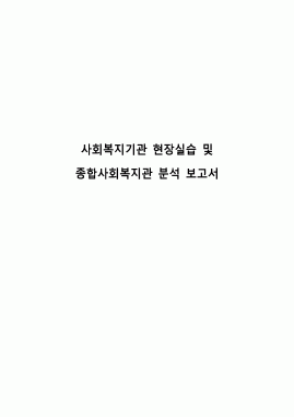 사회복지기관 현장실습 및 종합사회복지관 분석 보고서-1페이지