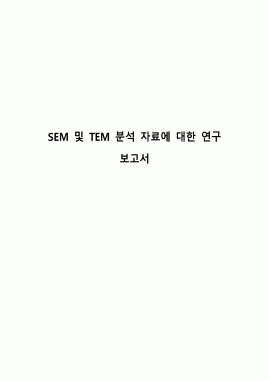 SEM 및 TEM 분석 자료에 대한 연구 보고서-1페이지