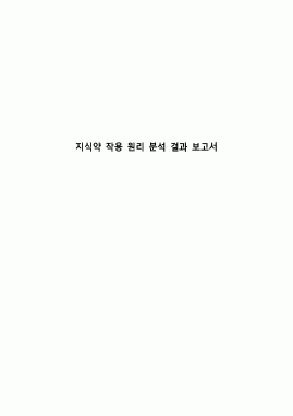 지식약 작용 원리 분석 결과 보고서-1페이지