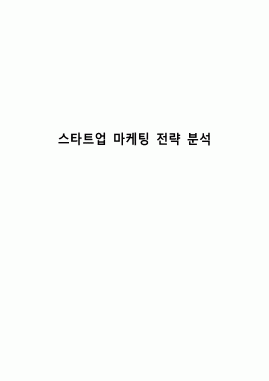 스타트업 마케팅 전략 분석-1페이지