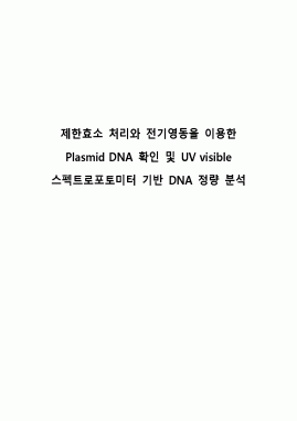 제한효소 처리와 전기영동을 이용한 Plasmid DNA 확인 및 UV visible 스펙트로포토미터 기반 DNA 정량 분석-1페이지