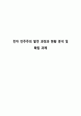 전자 민주주의 발전 과정과 현황 분석 및 확립 과제-1페이지