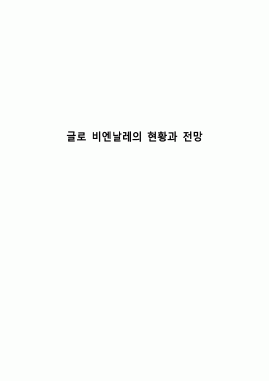 글로 비엔날레의 현황과 전망-1페이지
