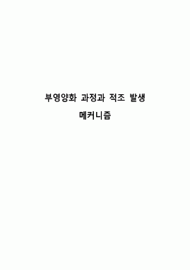 부영양화 과정과 적조 발생 메커니즘-1페이지