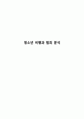 청소년 비행과 범죄 분석-1페이지