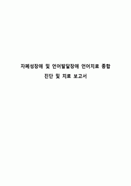 자폐성장애 및 언어발달장애 언어치료 종합 진단 및 치료 보고서-1페이지