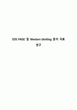 SDS PAGE 및 Western blotting 분석 자료 연구-1페이지