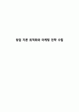 창업 자본 최적화와 마케팅 전략 수립-1페이지