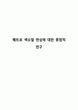 메트로 섹슈얼 현상에 대한 종합적 연구-1페이지